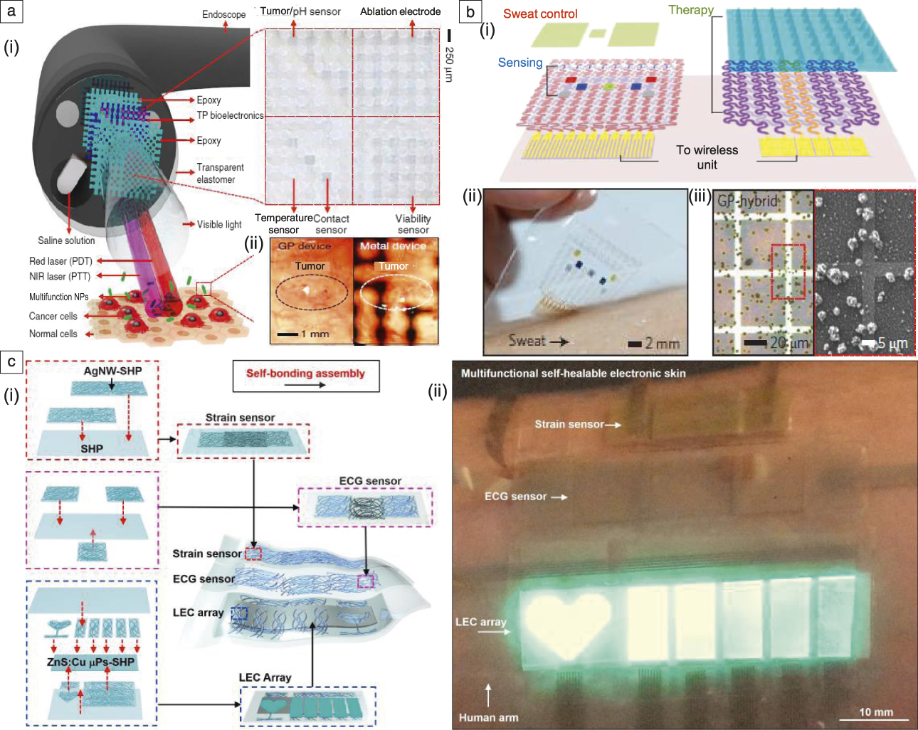 Nanomaterials-based flexible and stretchable bioelectronics | MRS ...