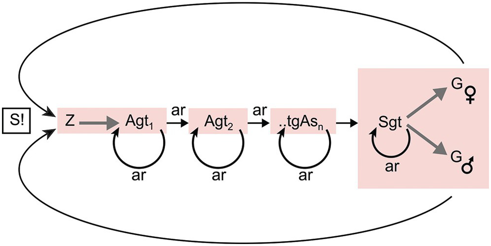 Reproduction and Life Cycle (Chapter 2:) - The Biology of Reproduction