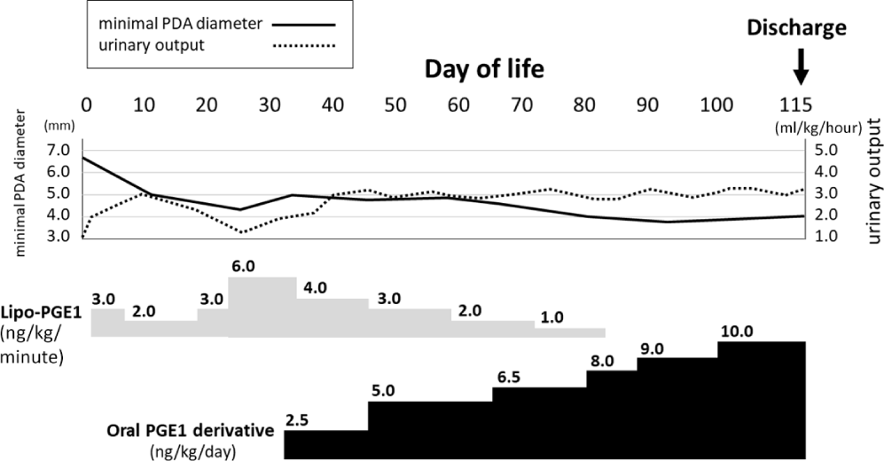 Successful use of oral prostaglandin E1 derivative for maintaining ...