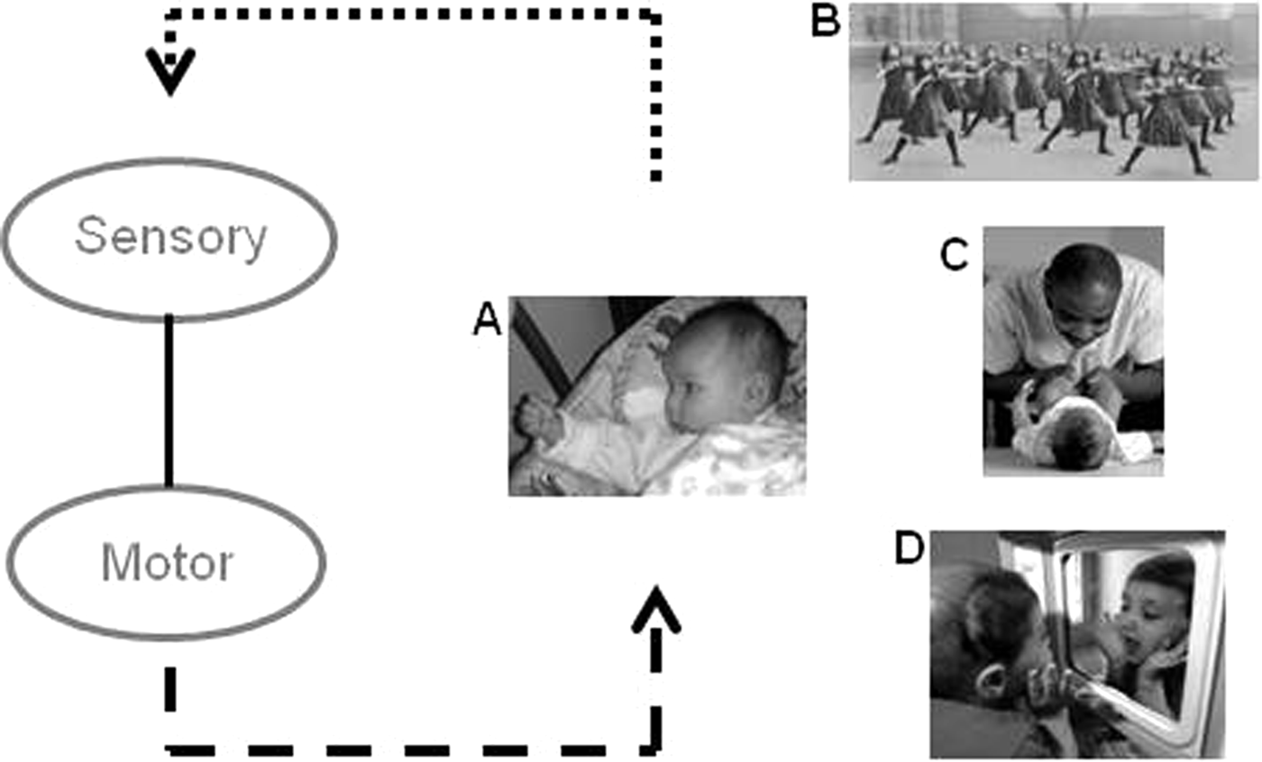 Précis of Cognitive Gadgets: The Cultural Evolution of Thinking ...