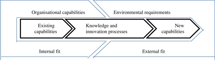 Integrating the content and process of capability development: Lessons ...