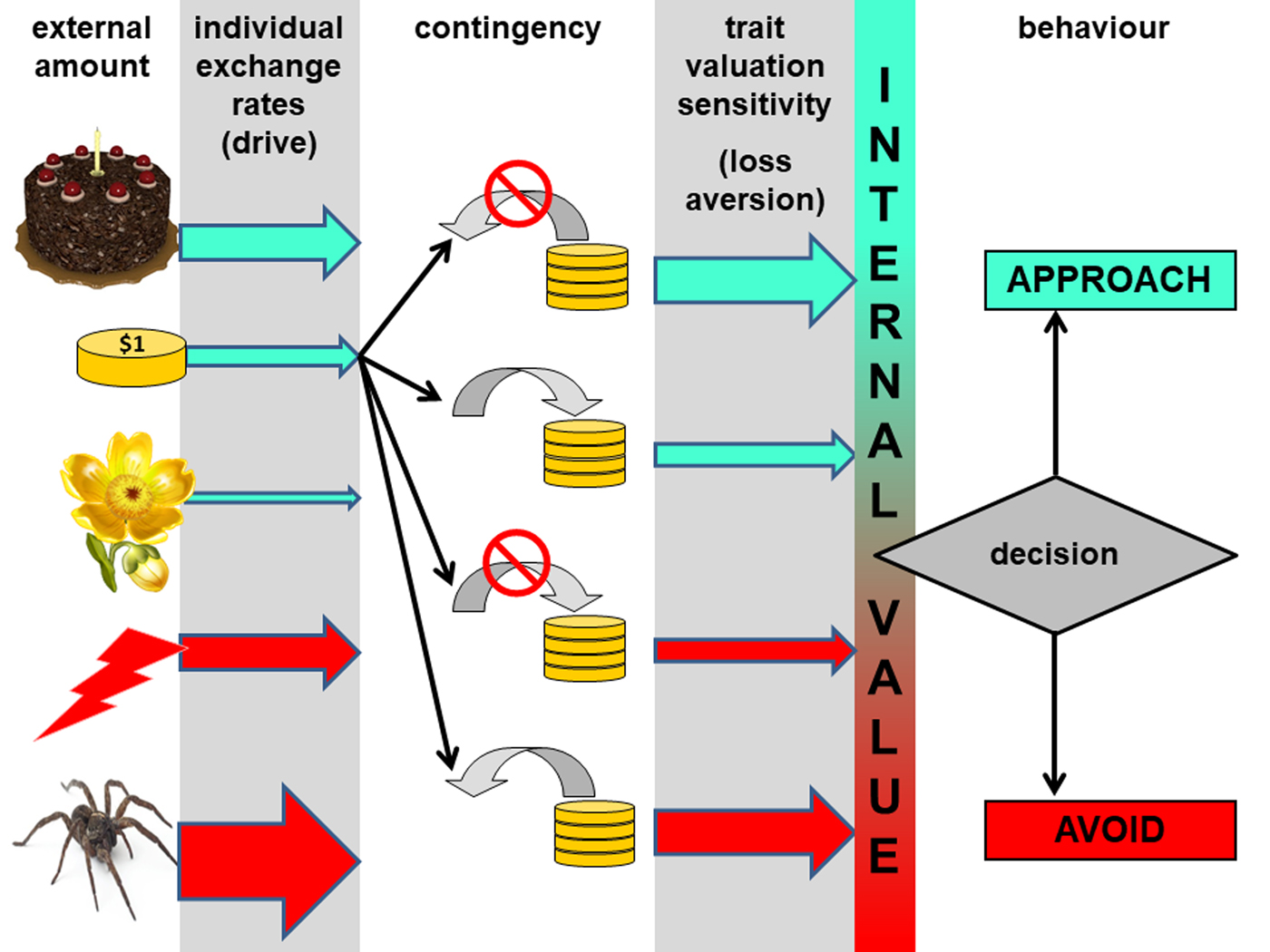 Behavioural inhibition and valuation of gain/loss are neurally distinct ...