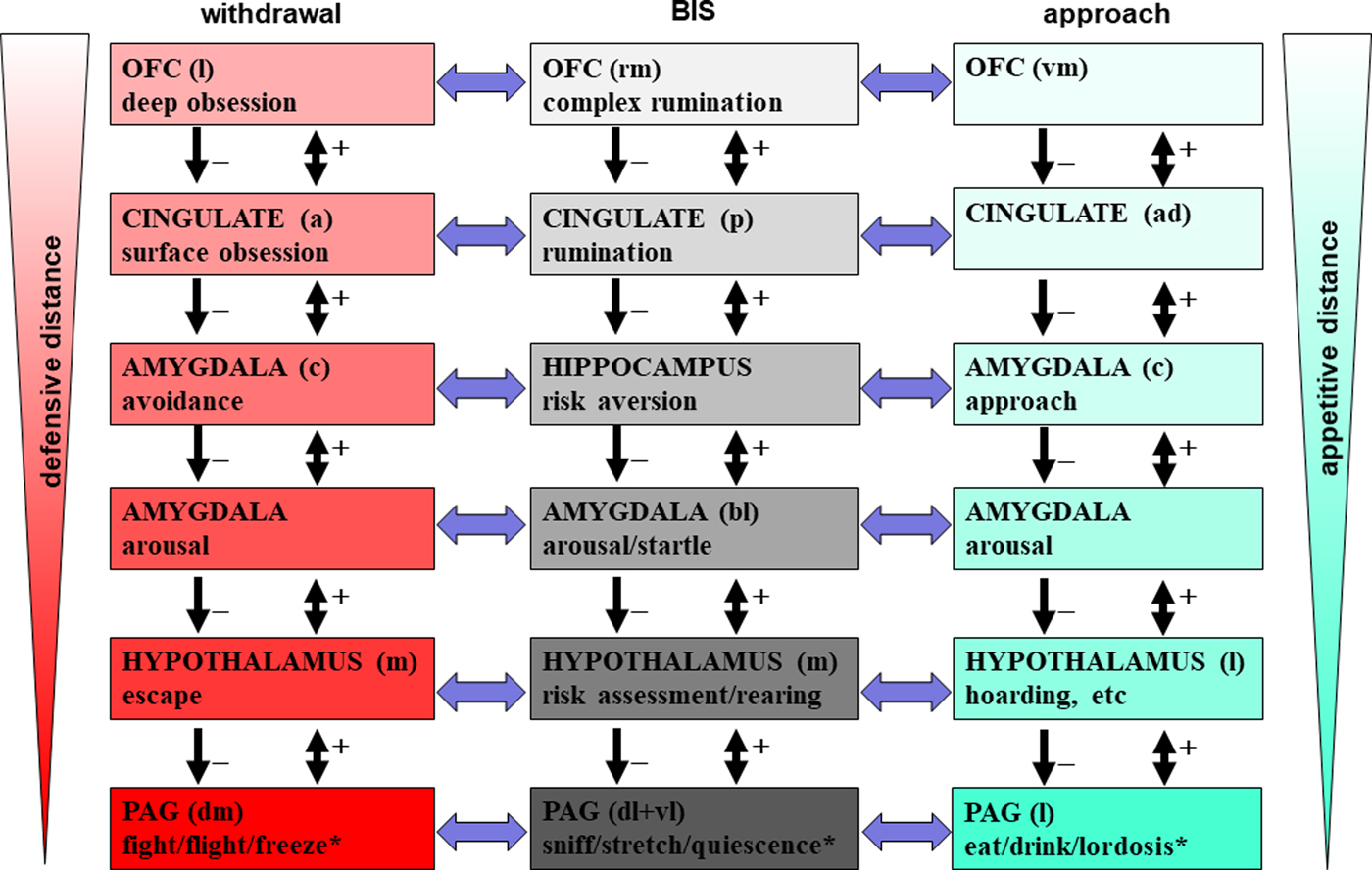 Behavioural inhibition and valuation of gain/loss are neurally distinct ...