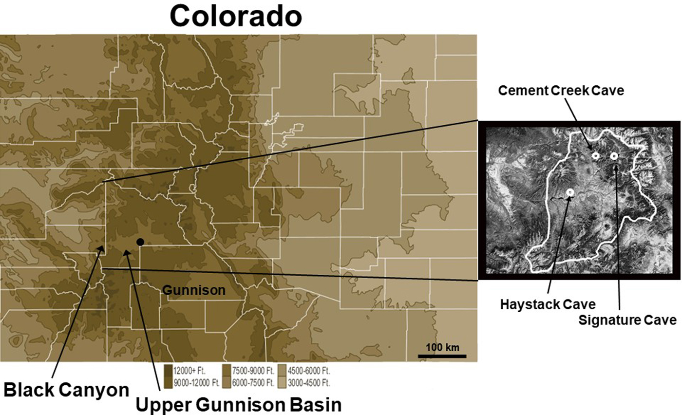 Late Quaternary vertebrates from the Upper Gunnison Basin, Colorado ...