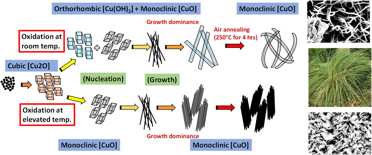 Low temperature–controlled synthesis of hierarchical Cu2O/Cu(OH)2/CuO ...