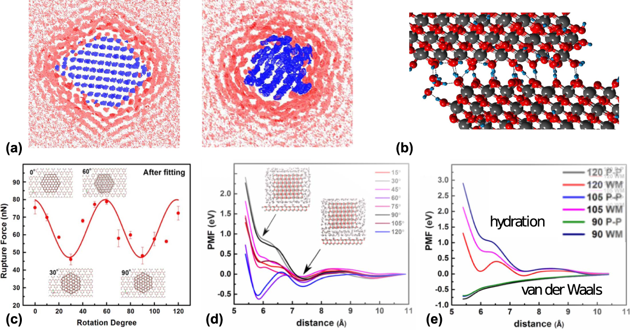Understanding the driving forces for crystal growth by oriented ...