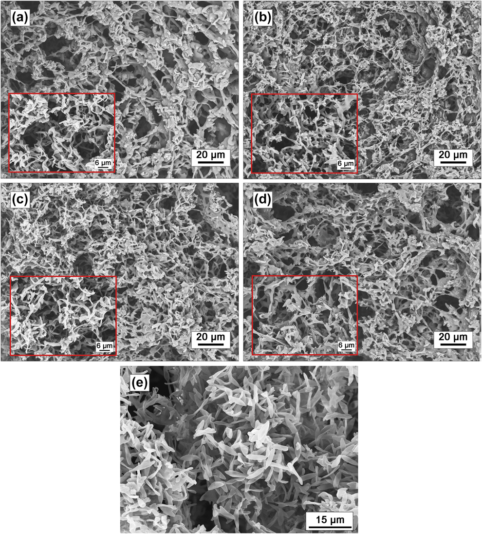 A green and facile strategy for hierarchically porous poly(L-lactic ...