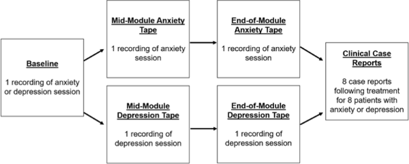 Multi-professional IAPT CBT training: clinical competence and patient ...