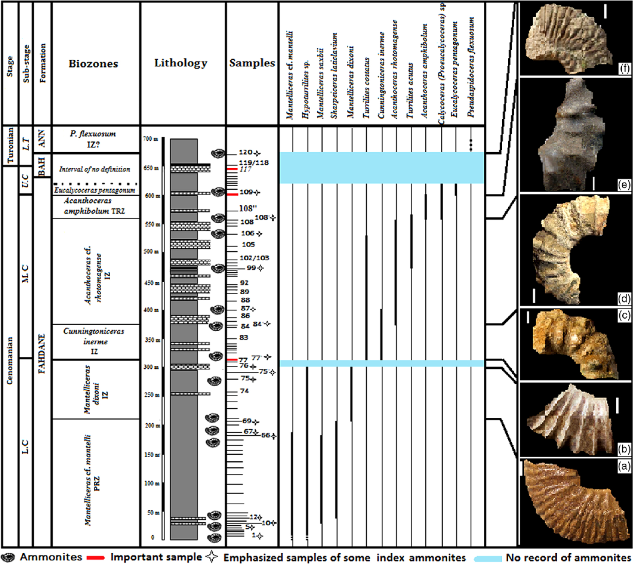 Cenomanian and lower Turonian relative chronology and ...