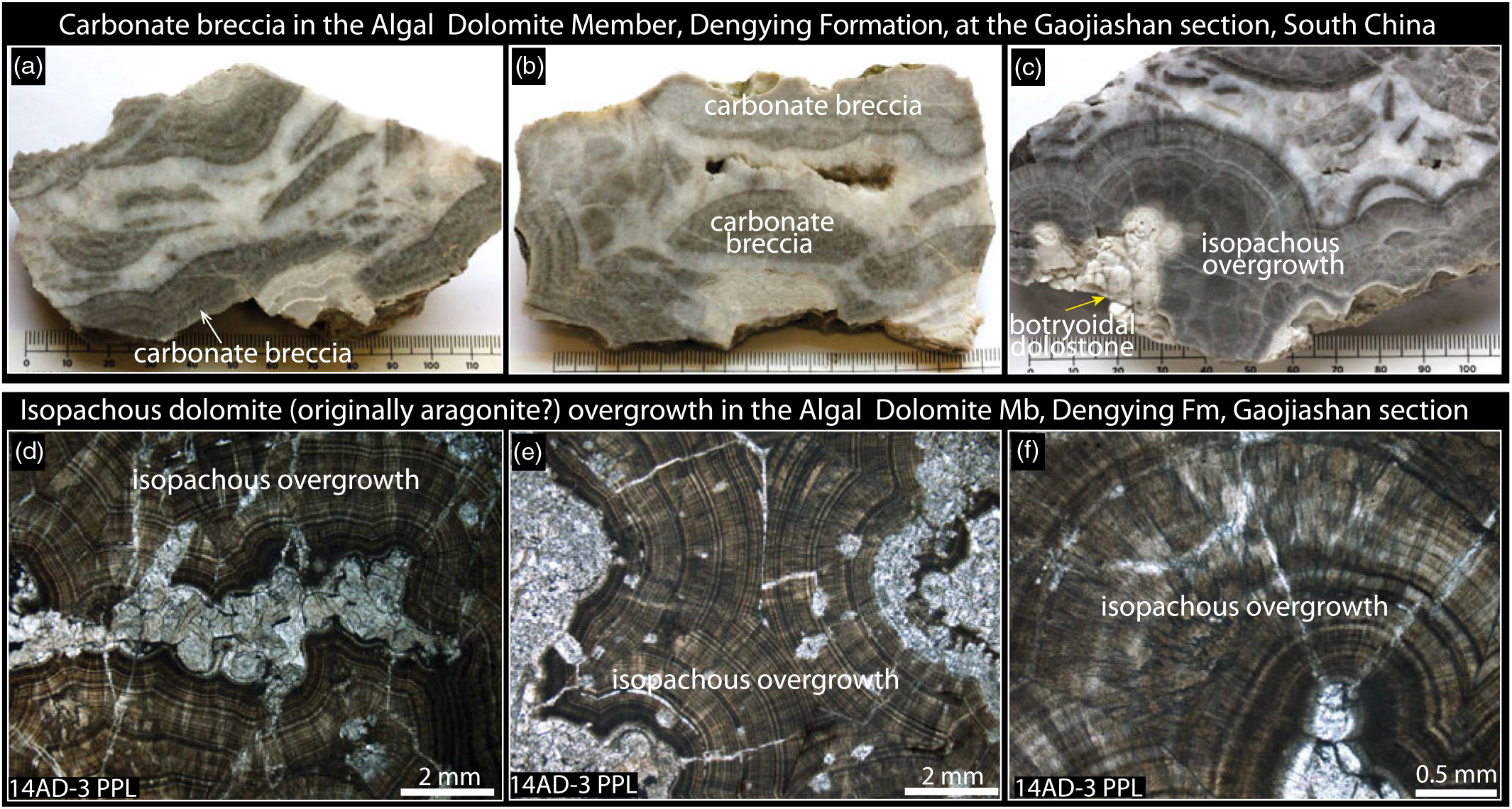 Sedimentology and chemostratigraphy of the terminal Ediacaran Dengying ...