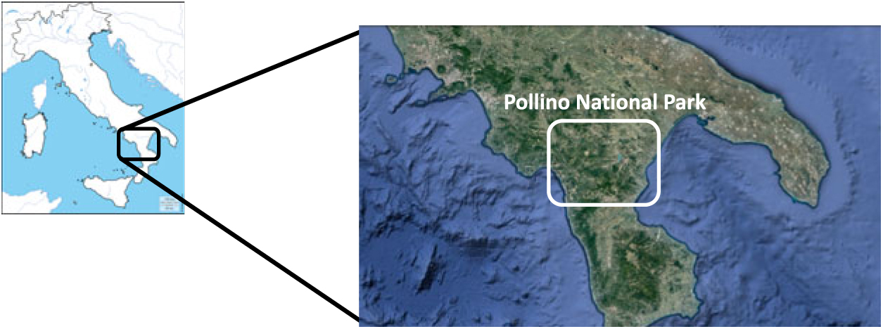 Identifying the 993–994 CE Miyake Event in the Oldest Dated Living Tree ...