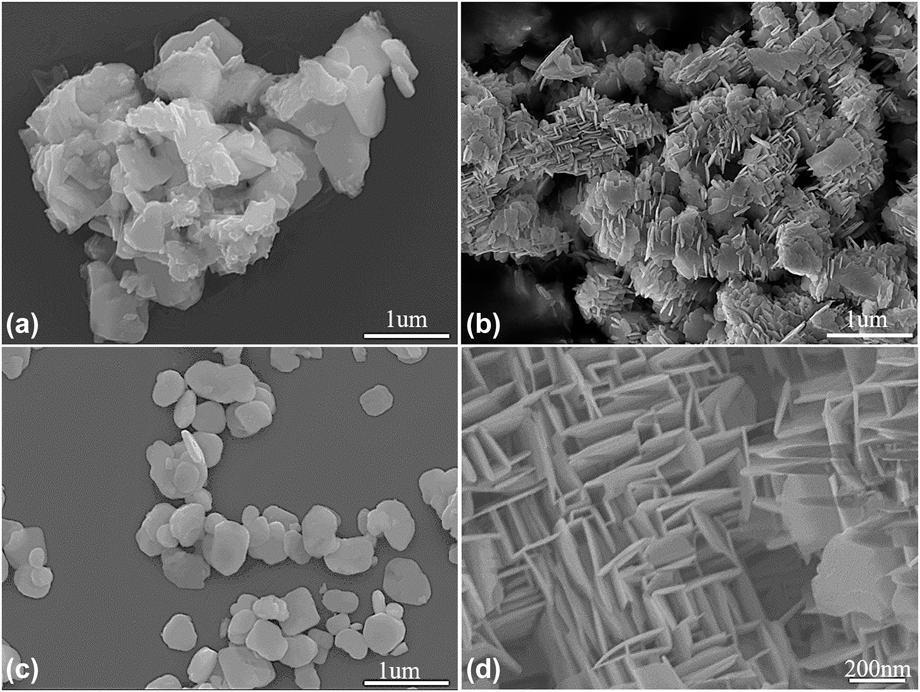 In situ synthesis of adsorptive β-Bi2O3/BiOBr photocatalyst with ...