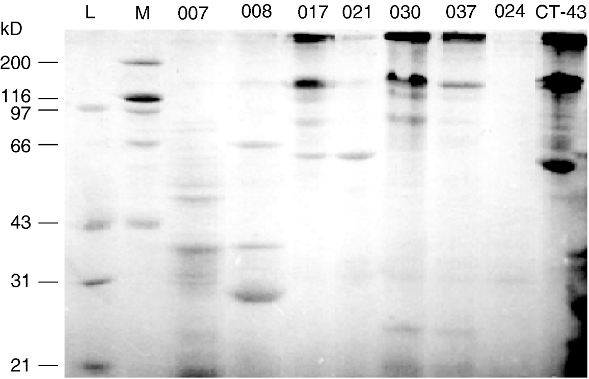 Bacillus thuringiensis crystal protein toxicity against plant-parasitic ...