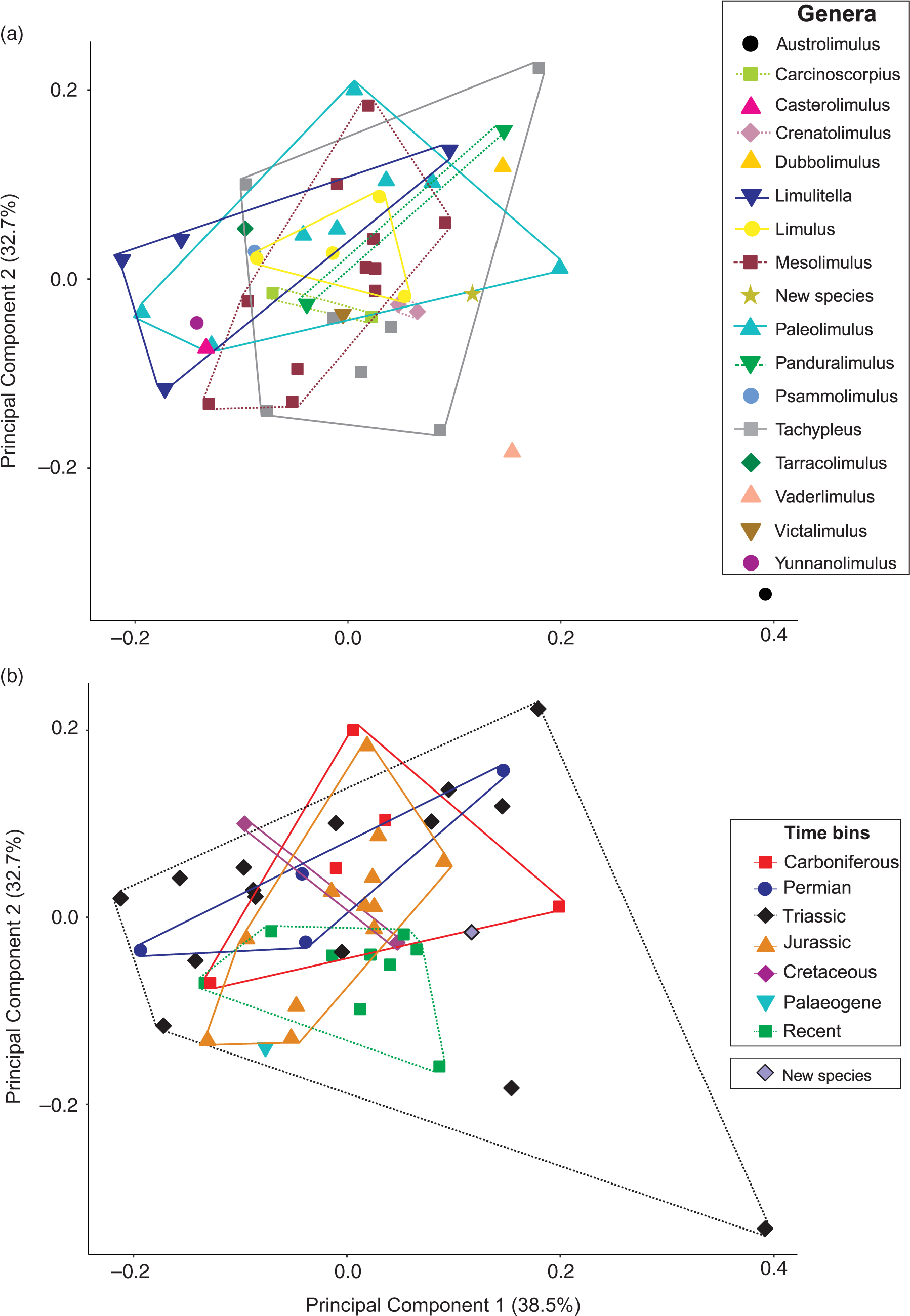 A new limulid genus from the Strelovec Formation (Middle Triassic ...