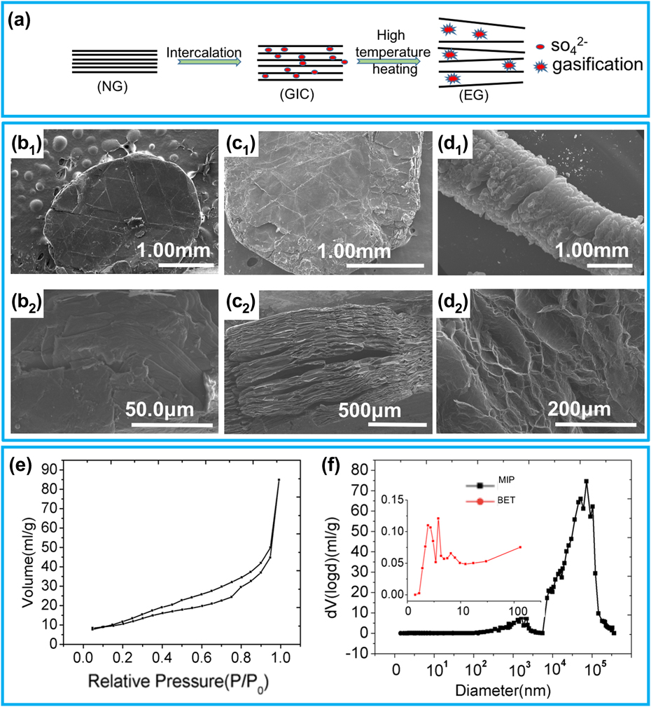 A novel and facile prepared wound dressing based on large expanded ...