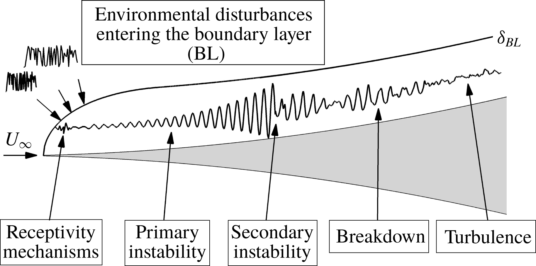 Direct numerical simulations of hypersonic boundary-layer transition for a flared cone ...