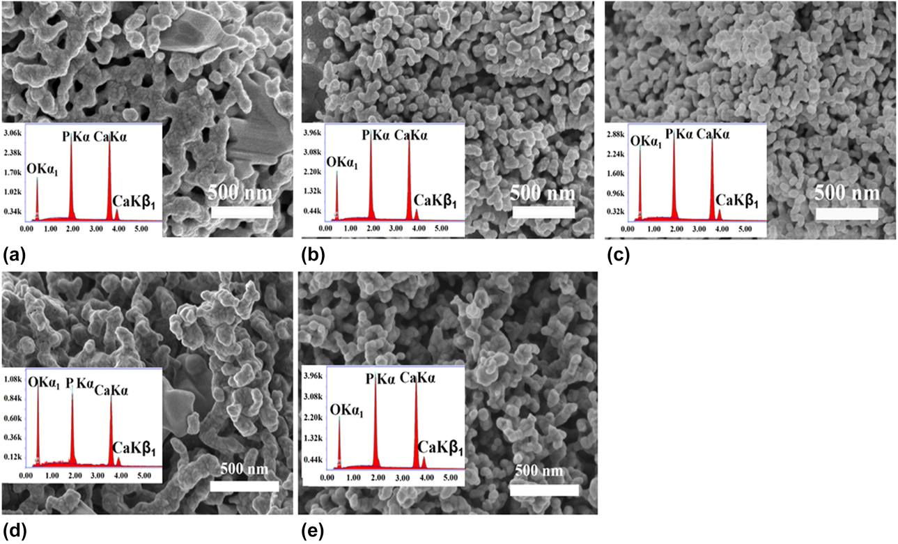 Rapid synthesis of hydroxyapatite nanoparticles via a novel approach in ...