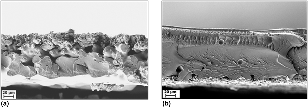 Development of new polyimide powder for selective laser sintering ...