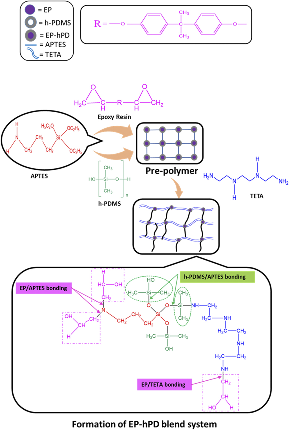 A facile preparation of epoxy-polydimethylsiloxane (EP-PDMS) polymer ...