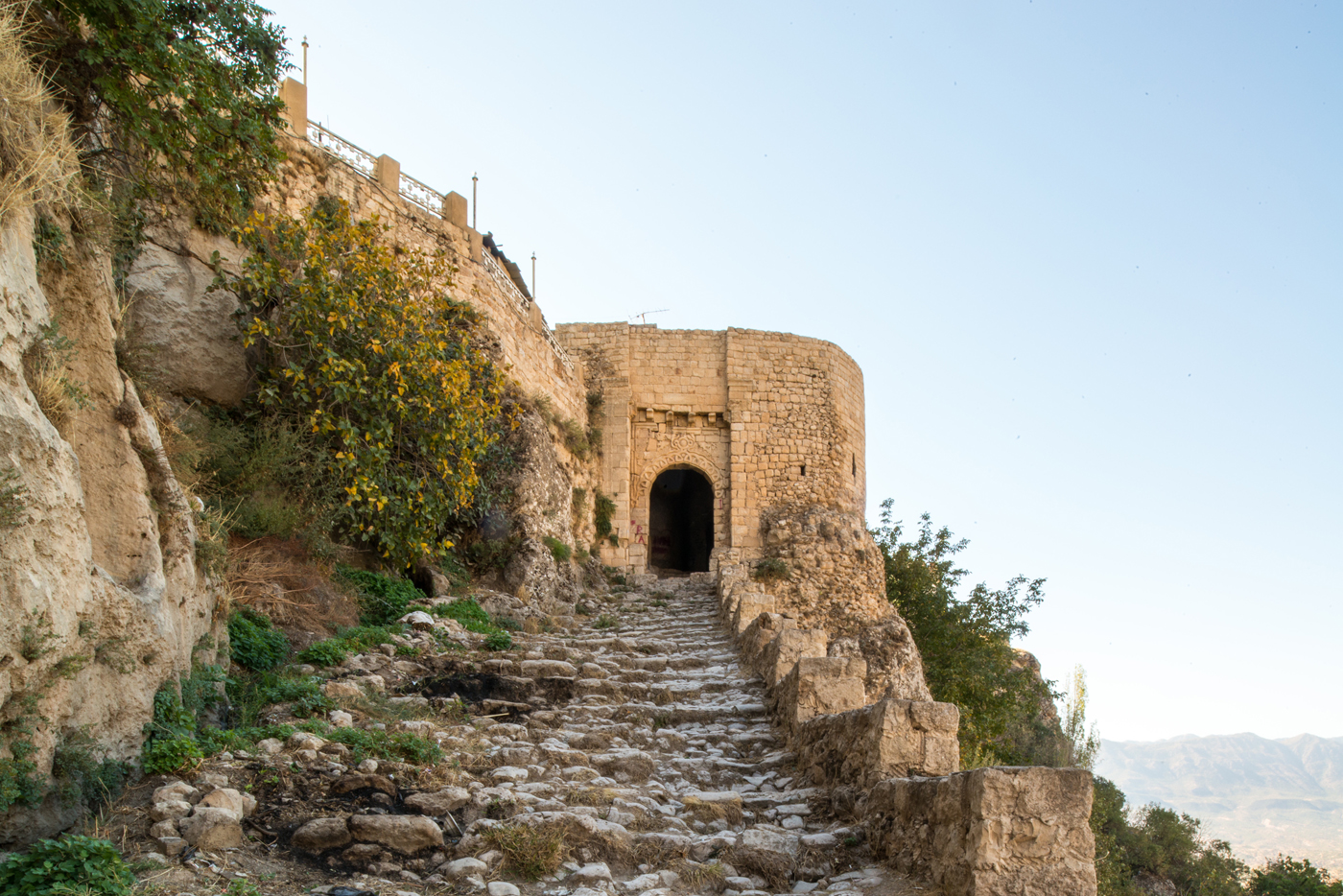 THE PARTHIAN ROCK RELIEFS AND BAHDINAN GATE IN AMADIYA/AMEDI: A ...