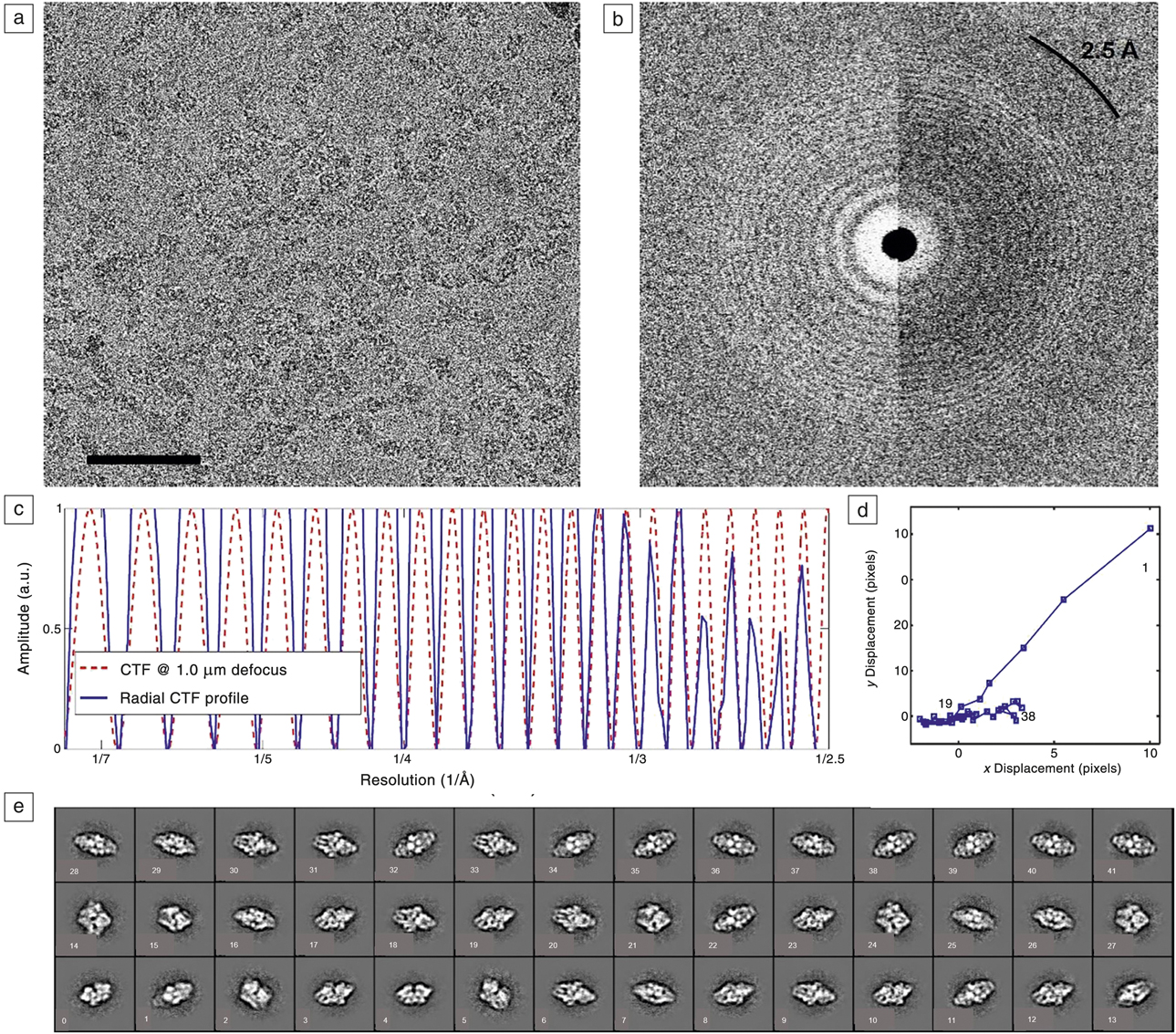 Cryo-electron microscopy instrumentation and techniques for life ...