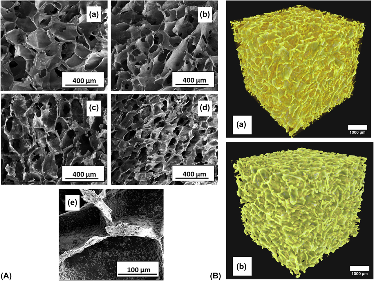 Preparation and characterization of glass–ceramic reinforced alginate ...