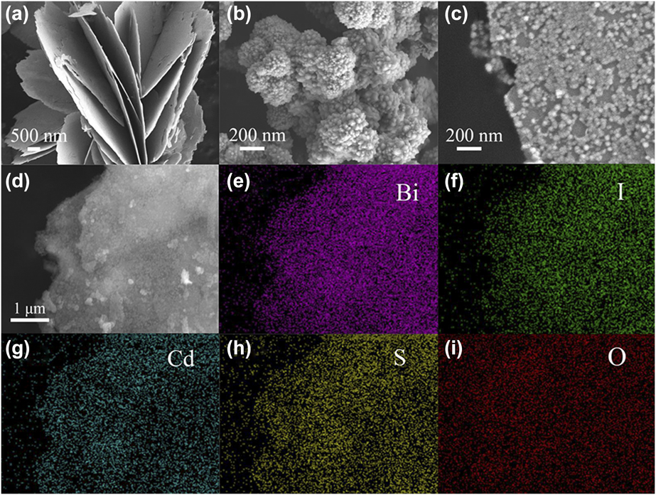 Construction of visible light–responsive Z-scheme CdS/BiOI ...