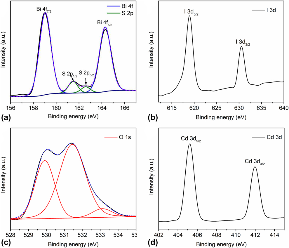 Construction of visible light–responsive Z-scheme CdS/BiOI ...