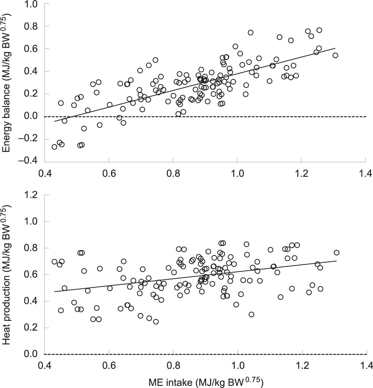 Updating maintenance energy requirement for the current sheep flocks ...