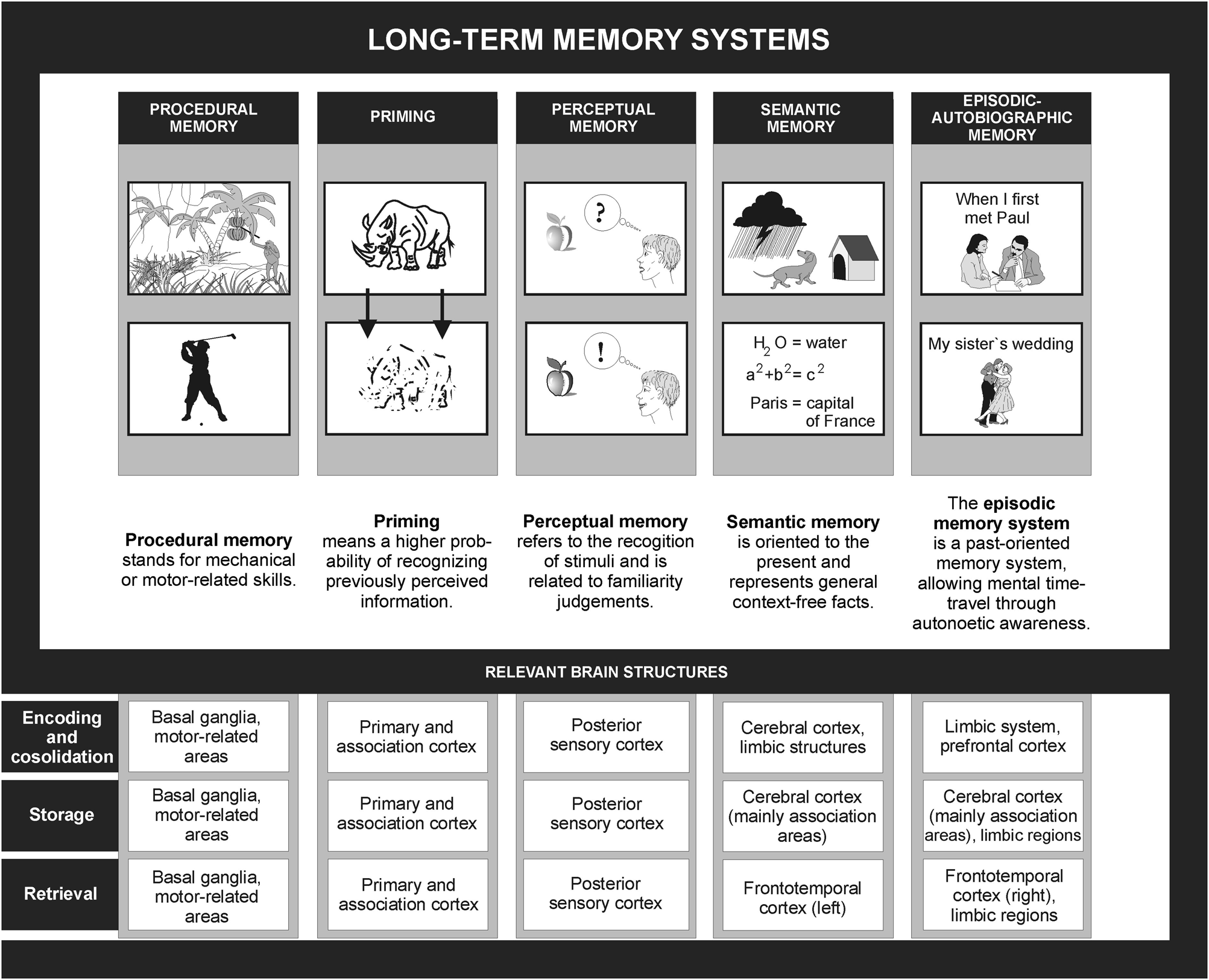 Episodic memory is emotionally laden memory, requiring amygdala ...
