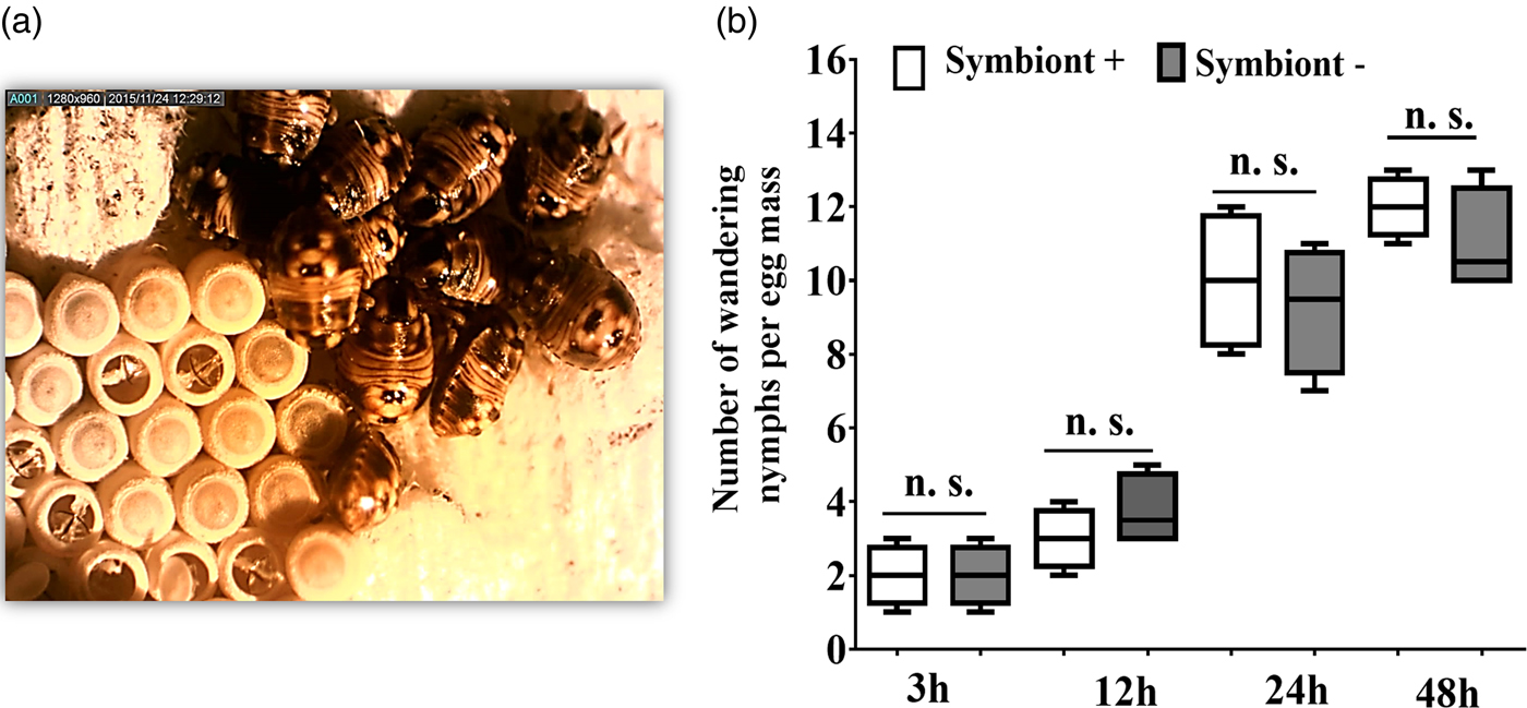 Habitat visualization, acquisition features and necessity of the ...