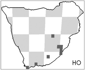 The Holocene (Chapter 6) - A Fossil History of Southern African Land ...