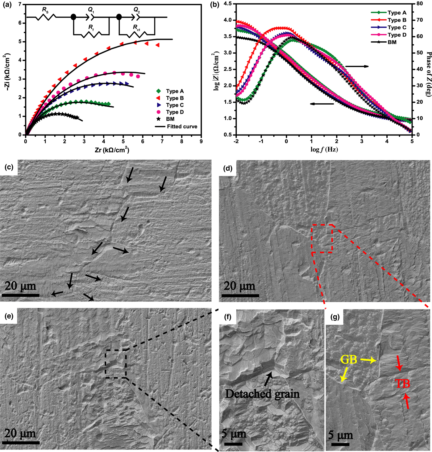 Quantification Of Grain Boundary Connectivity For Predicting Intergranular Corrosion Resistance