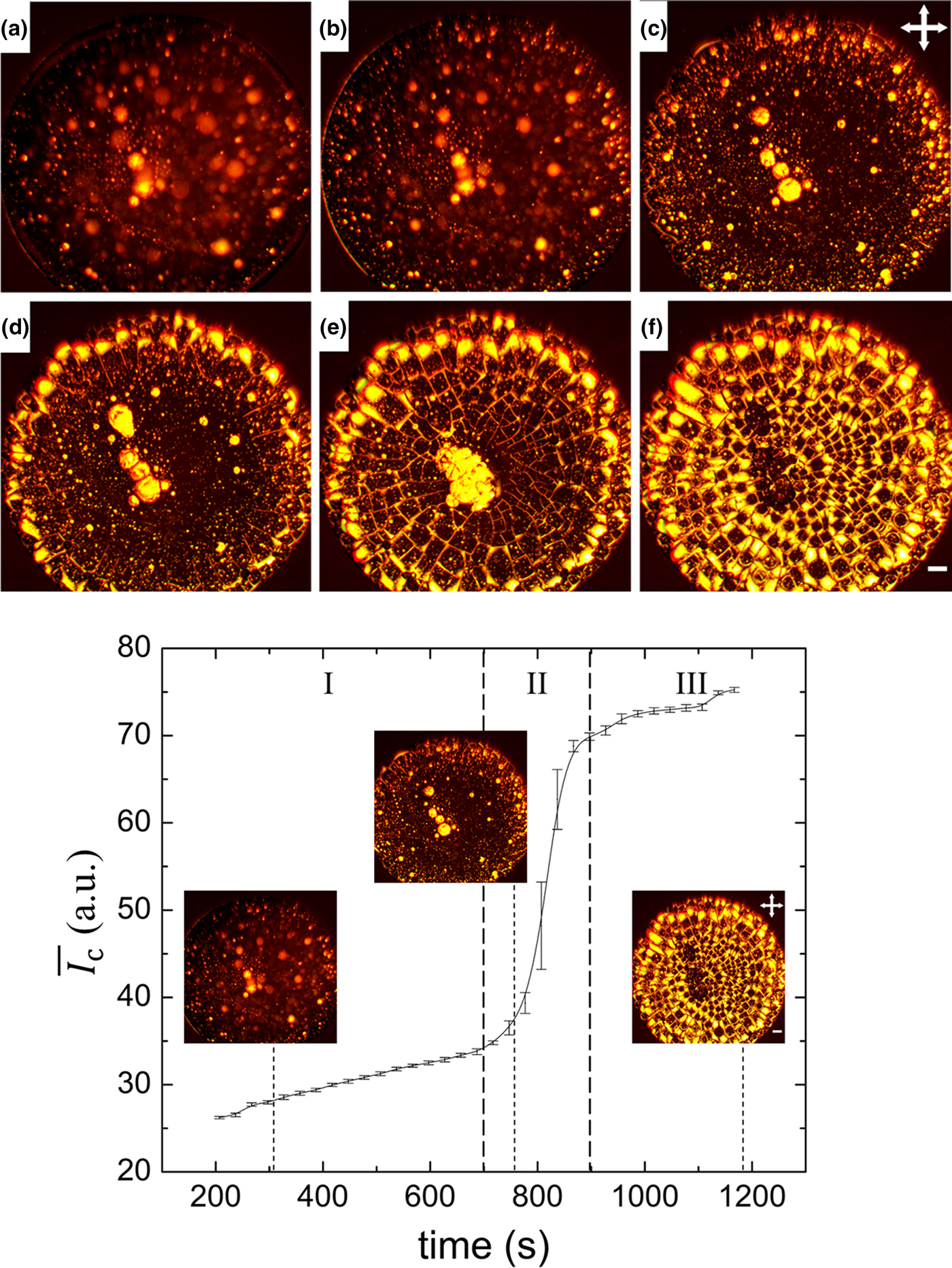 Phase separation of a nematic liquid crystal in the self-assembly of ...