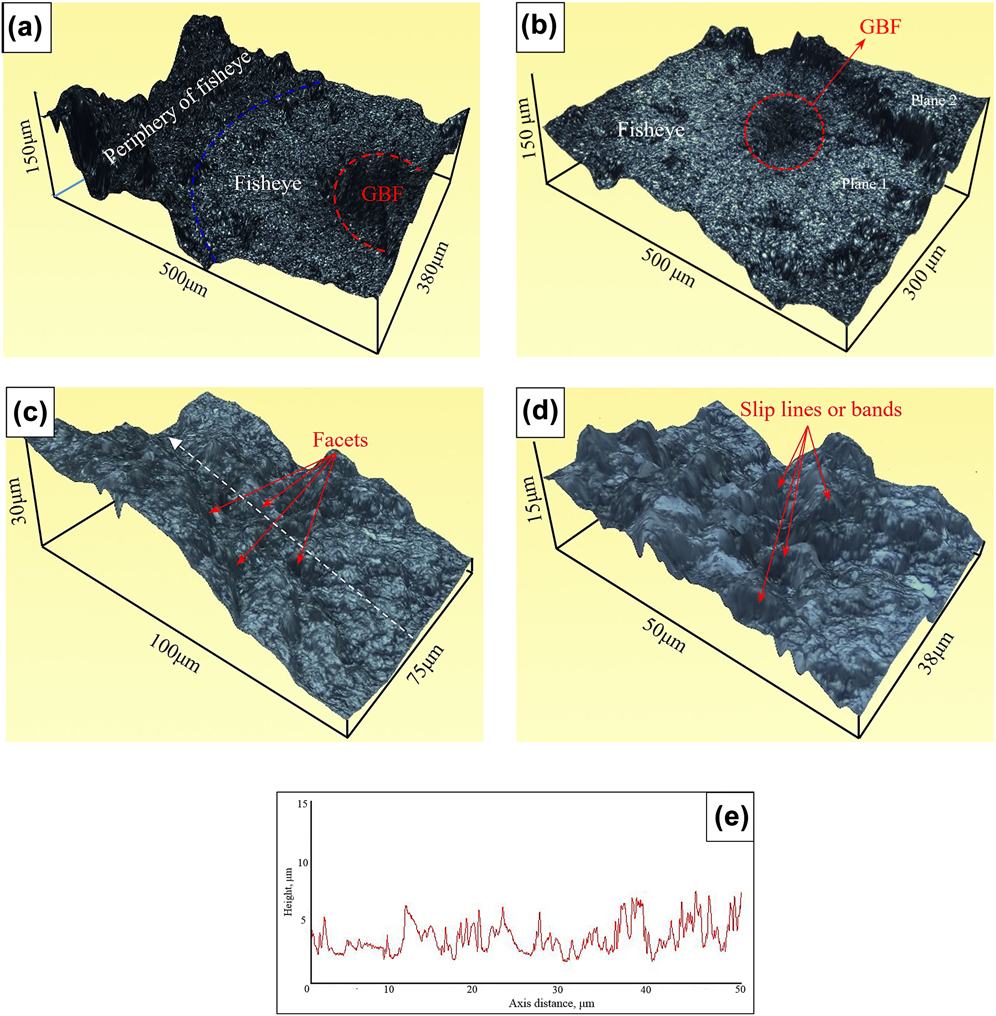Crack initiation and early growth behavior of TC4 titanium alloy under ...
