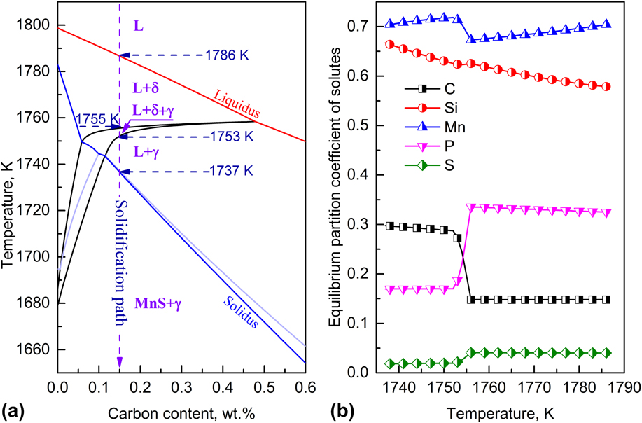 Numerical modeling of centerline segregation by a combined 3-D and 2-D ...