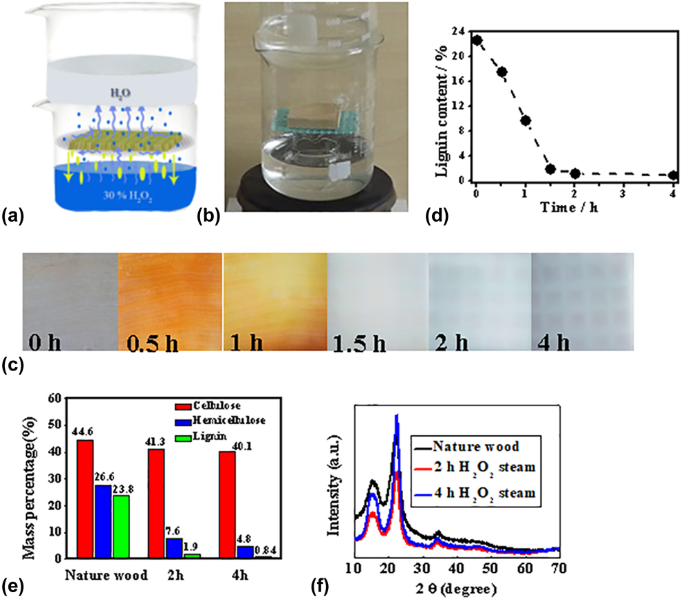 A green steam-modified delignification method to prepare low-lignin ...