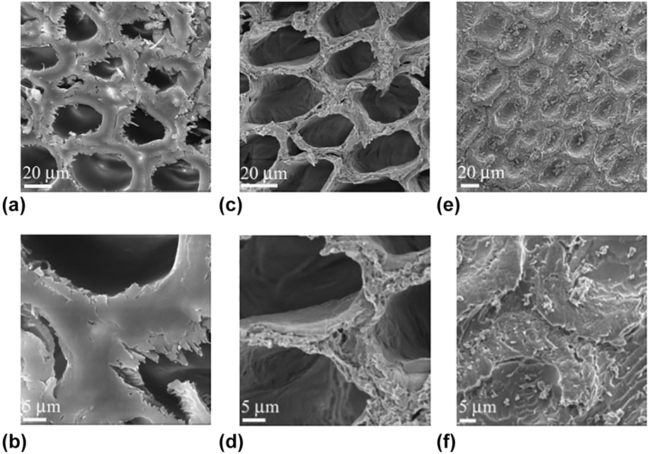 A green steam-modified delignification method to prepare low-lignin ...
