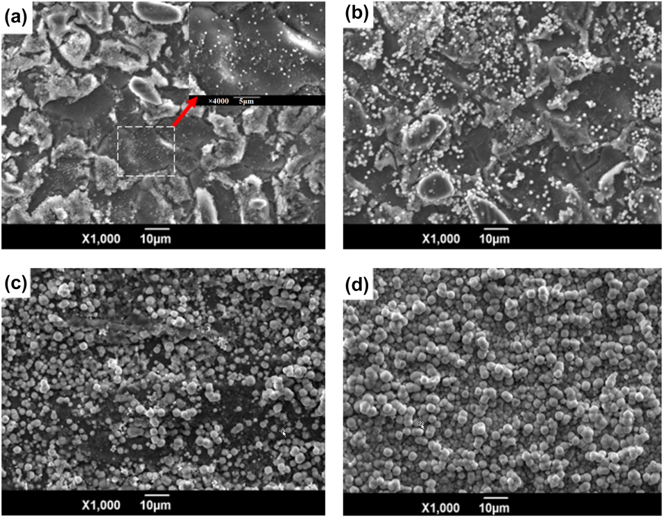 Microstructure and corrosion resistance of Ni–P gradient coating ...