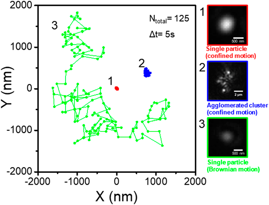 Trajectories, diffusion, and interactions of single ceria particles on ...