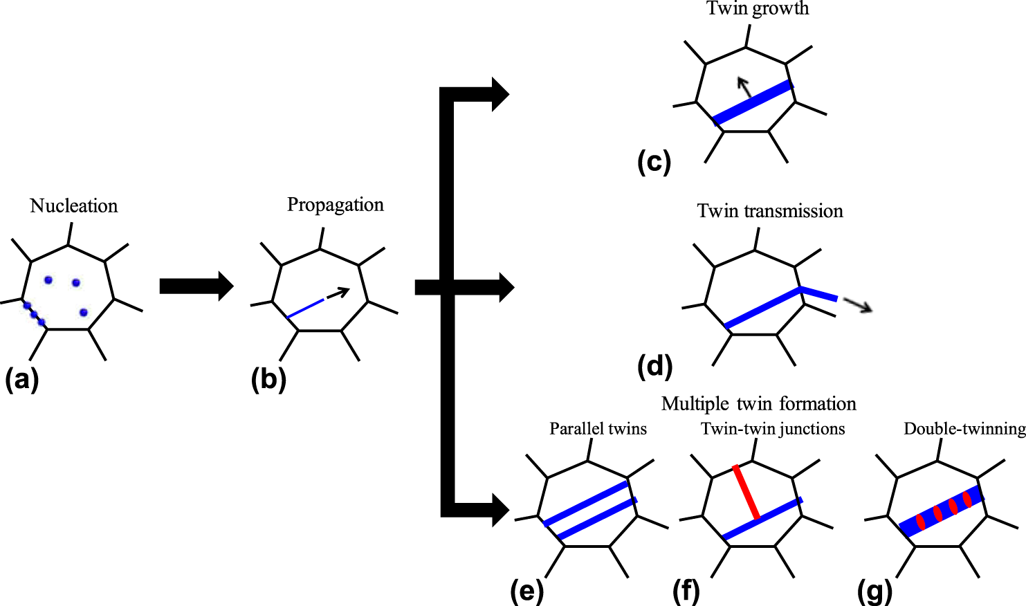 Local microstructure and micromechanical stress evolution during ...