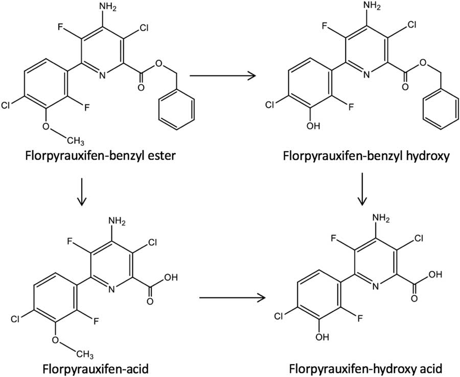 Assessment of Florpyrauxifen-benzyl Potential to Carryover to ...