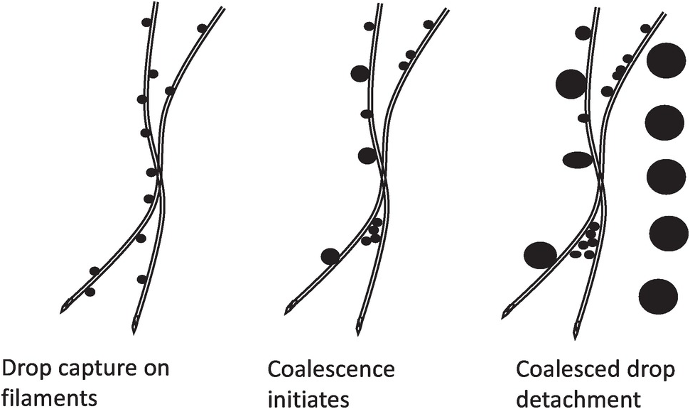 Coalescence