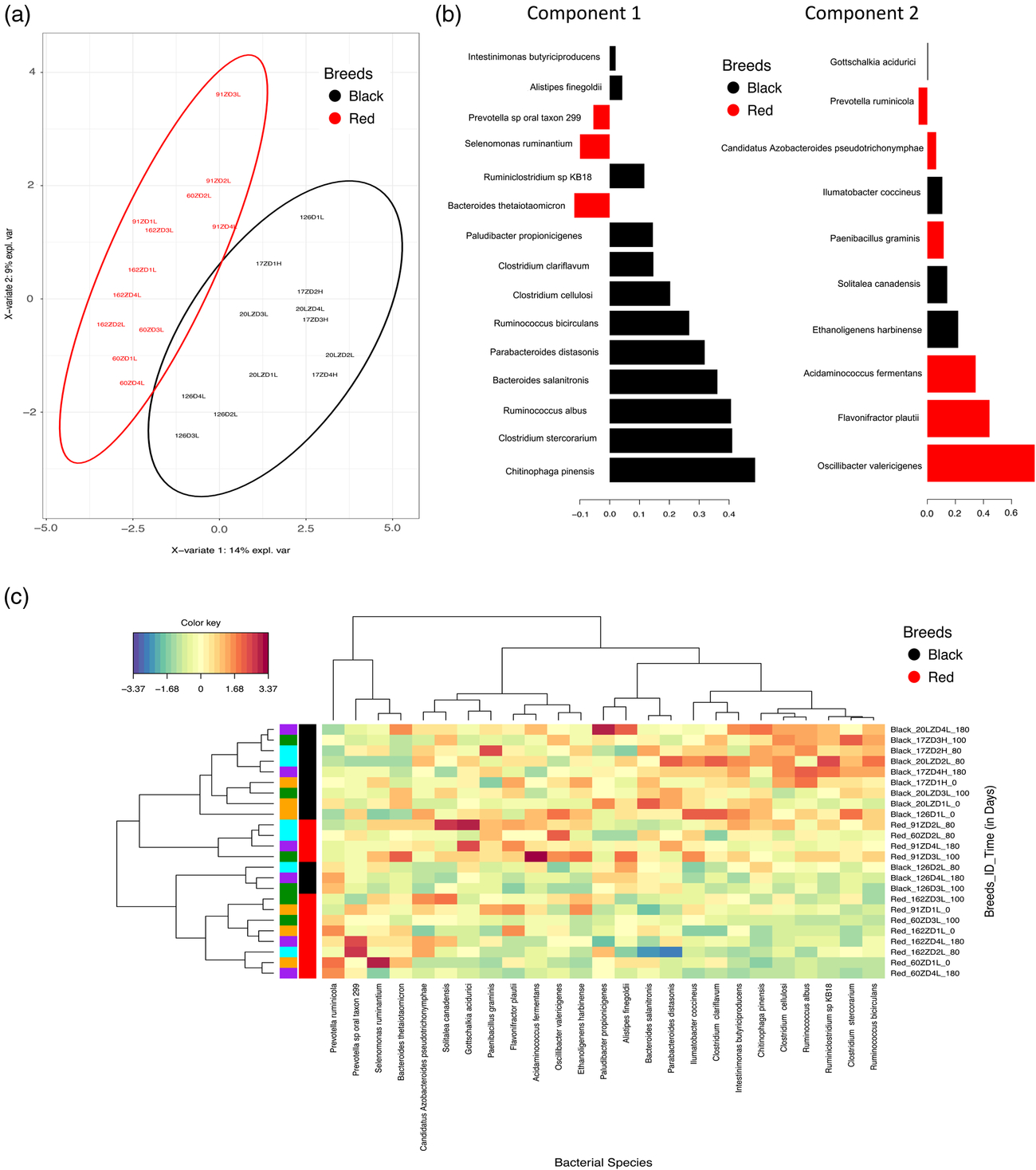 Taxonomic and functional assessment using metatranscriptomics reveals the effect of Angus cattle ...