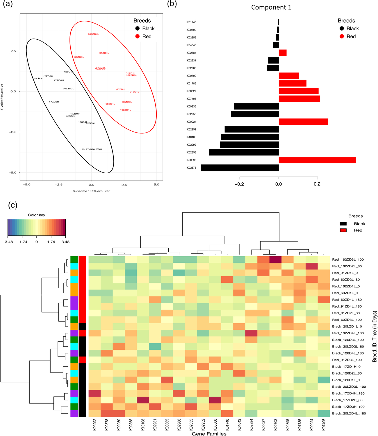 Taxonomic and functional assessment using metatranscriptomics reveals ...