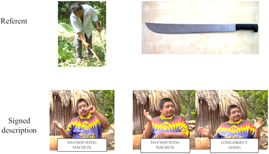 Types of iconicity and combinatorial strategies distinguish semantic ...