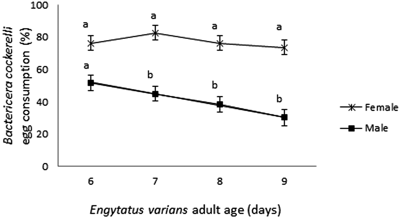 Predation by Engytatus varians (Distant) (Hemiptera: Miridae) on ...