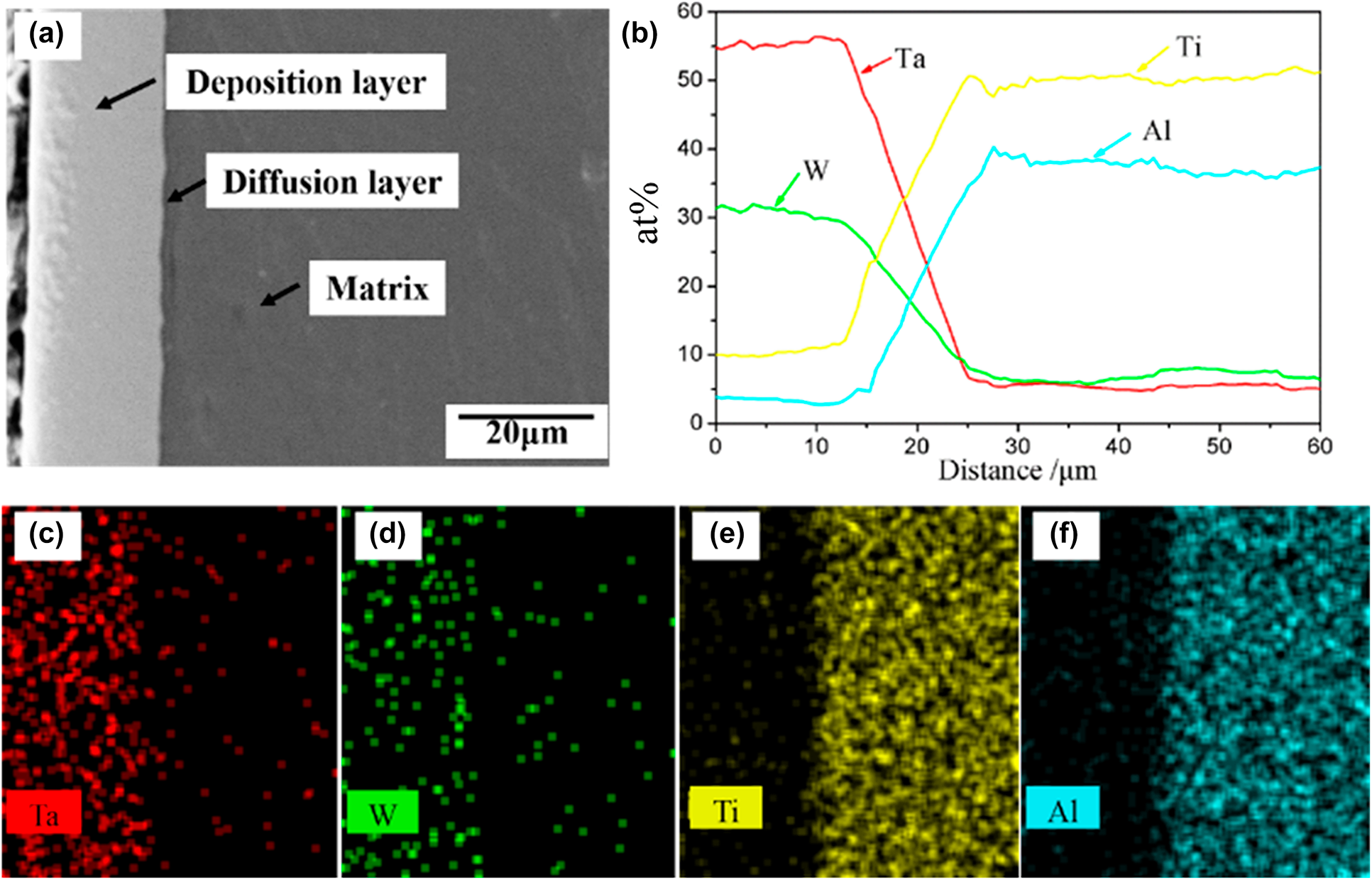 A combined experimental and first-principle study on the effect of plasma surface Ta–W co ...