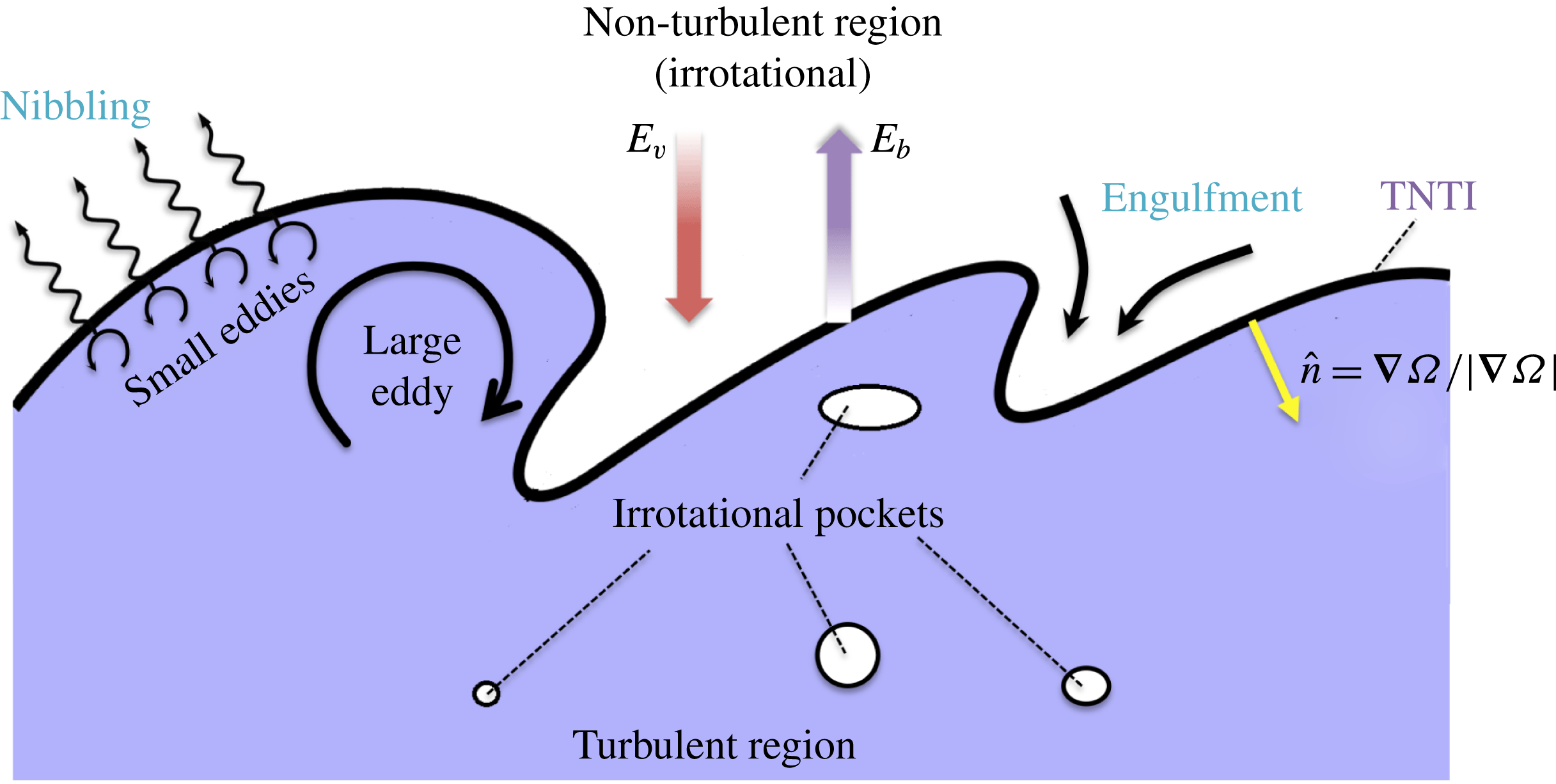 The effect of heat release on the entrainment in a turbulent mixing ...
