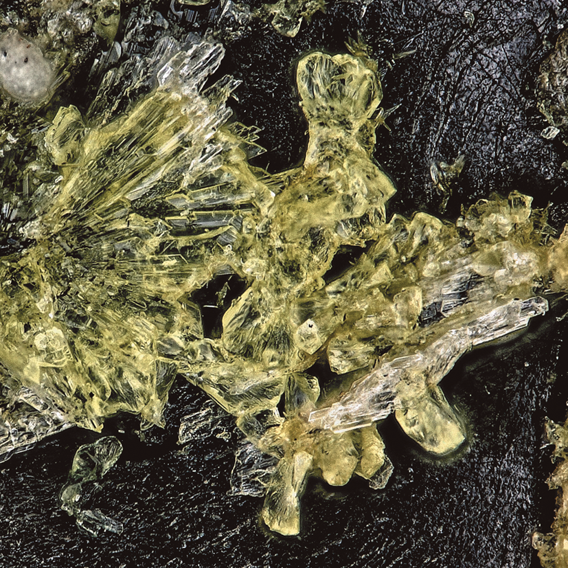 Uroxite and metauroxite, the first two uranyl oxalate minerals ...